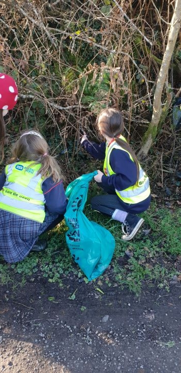 Green School Litter Collection